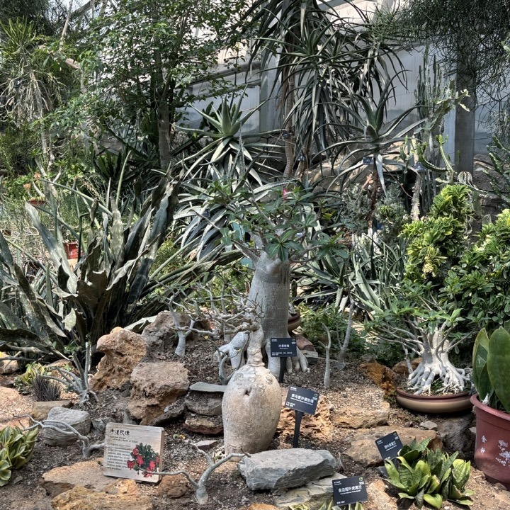The Greenhouse (South Garden) at China National Botanical Garden 国家植物园 ...